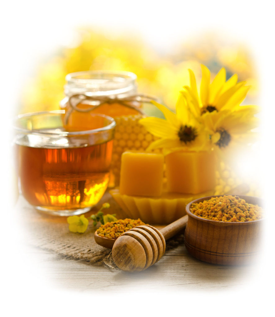 Apiterapia | Medicina Alternativa